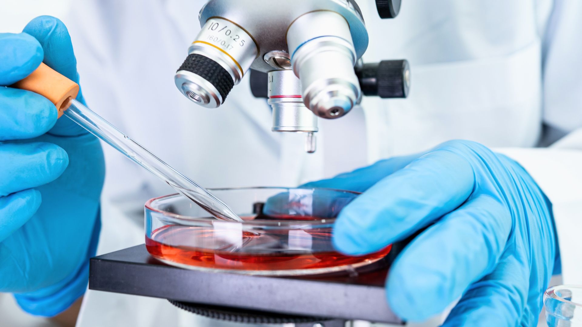 B.Voc in Medical Laboratory Technology - Medhavi Skills University